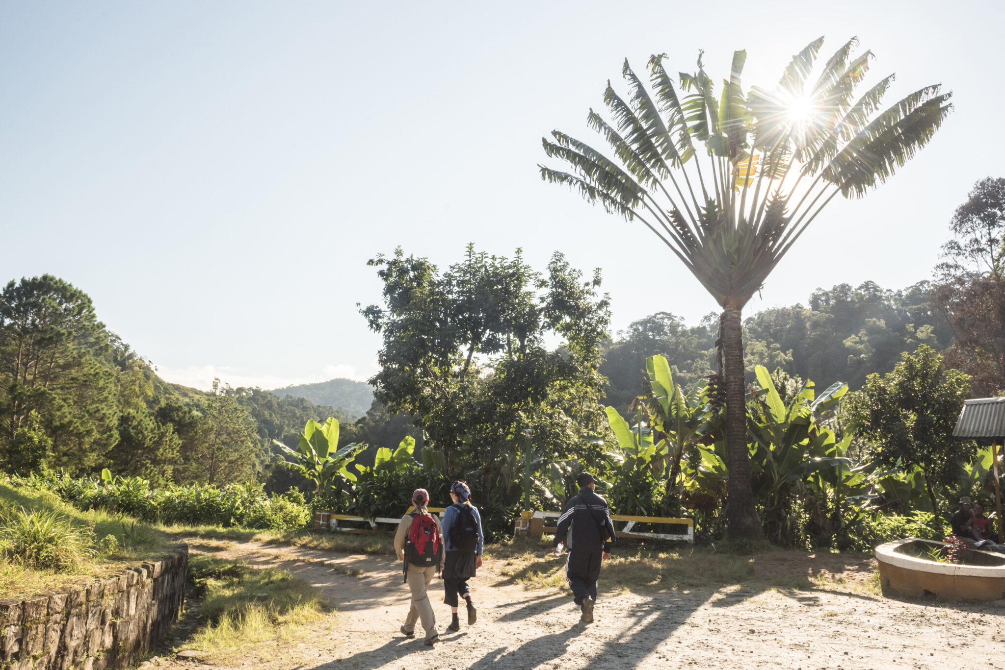 Madagascar Insurance - Cura Insurance | Get Advice